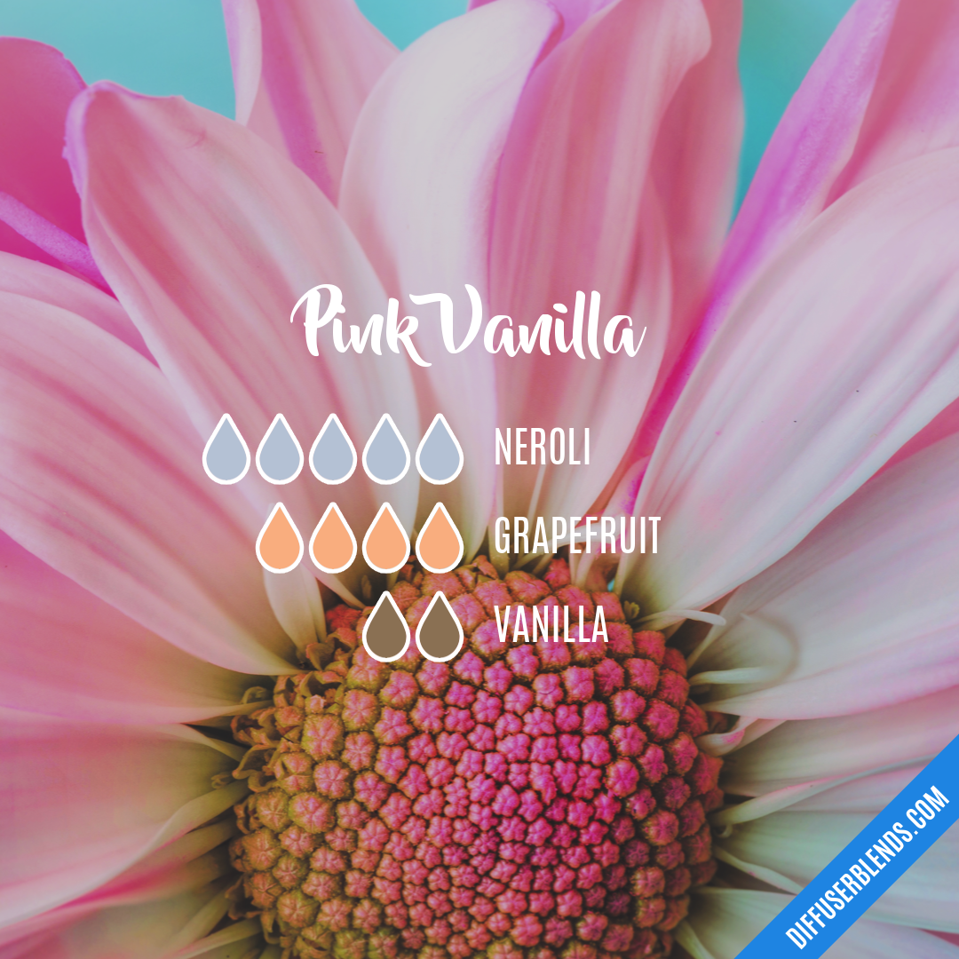 Pink Vanilla | DiffuserBlends.com