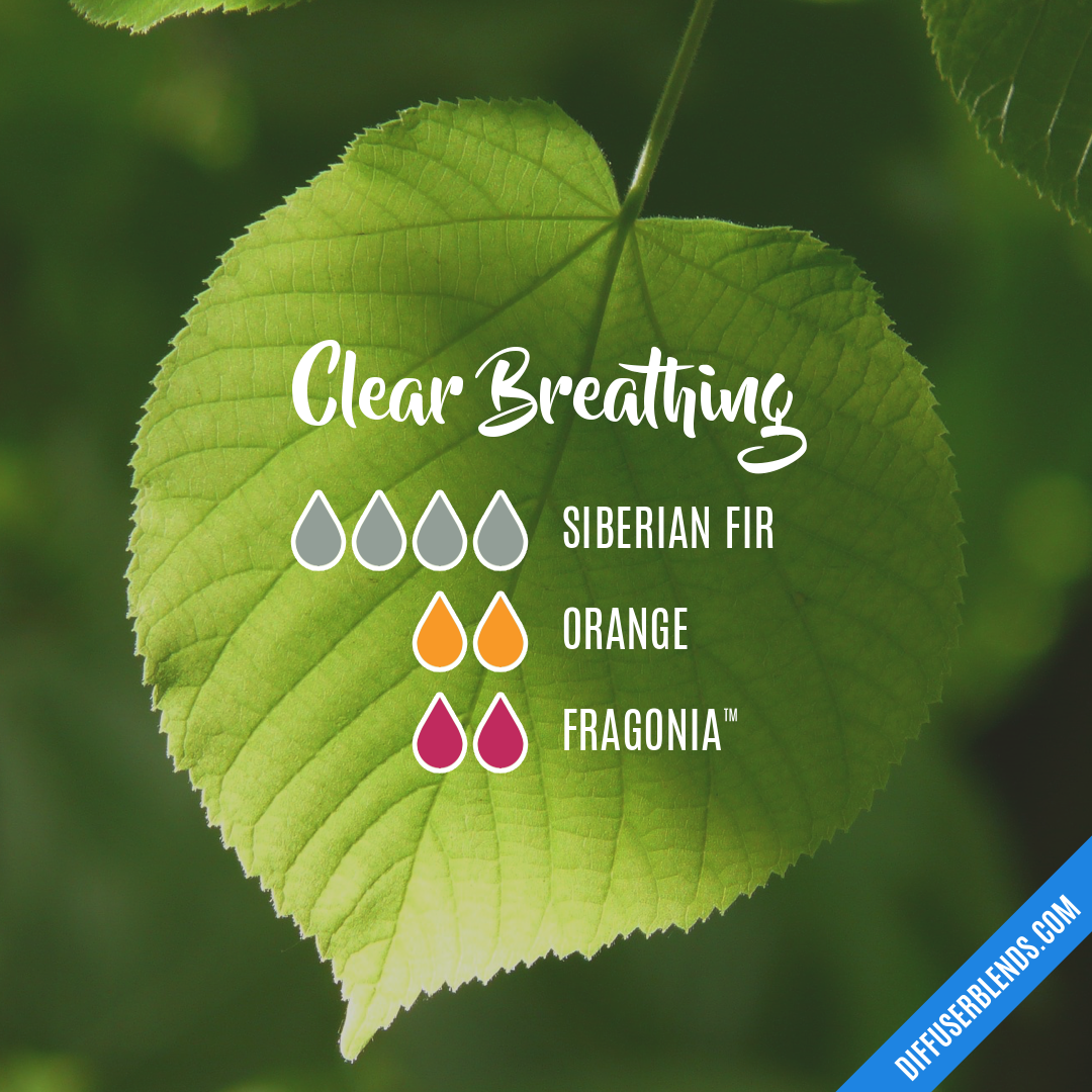 Clear Breathing | DiffuserBlends.com