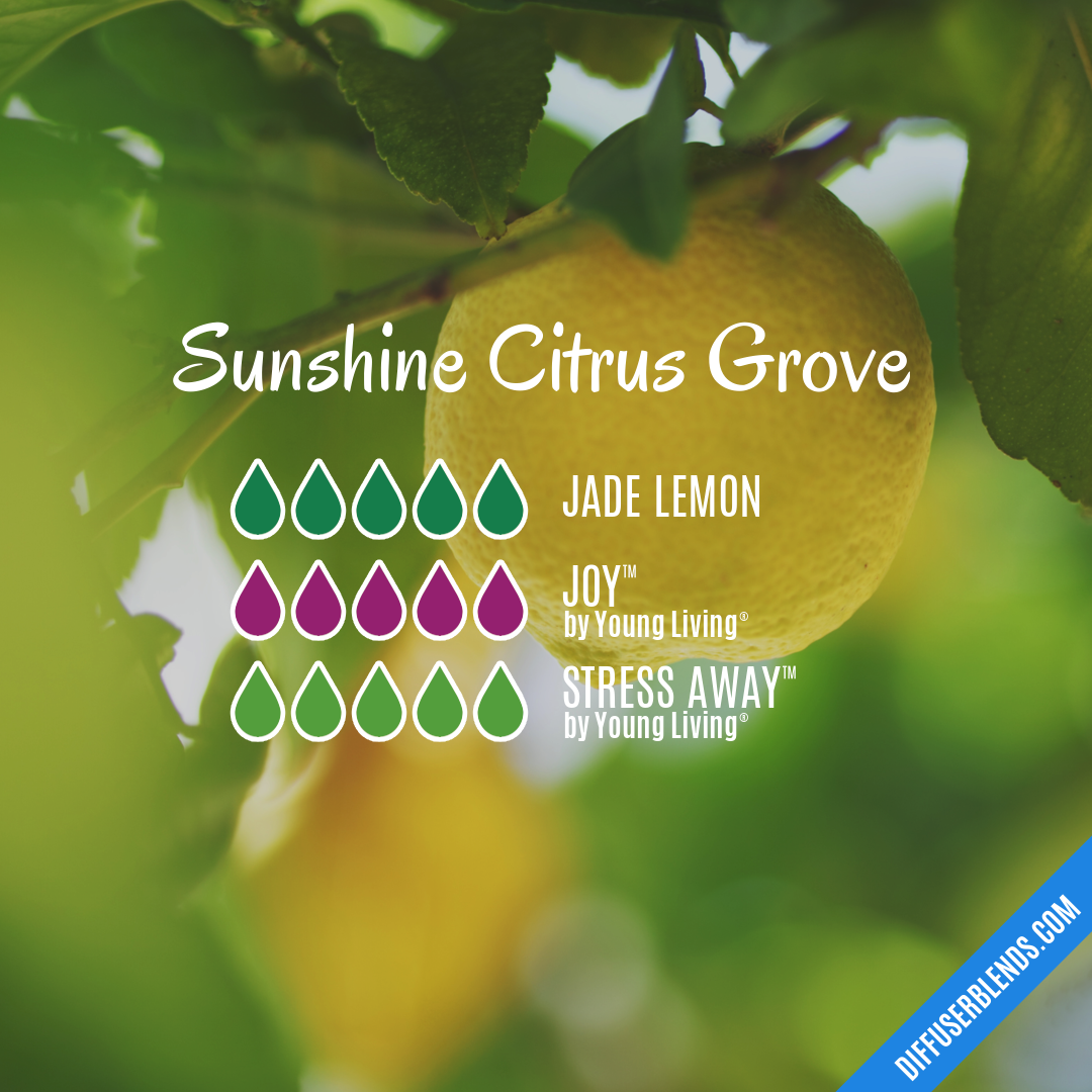 Sunshine Citrus Grove | DiffuserBlends.com
