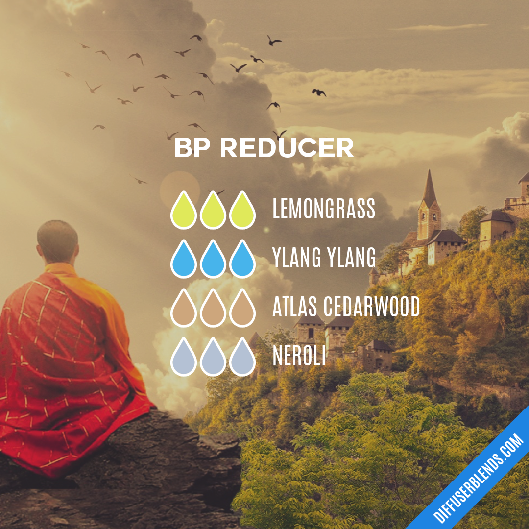 Bp Reducer | DiffuserBlends.com
