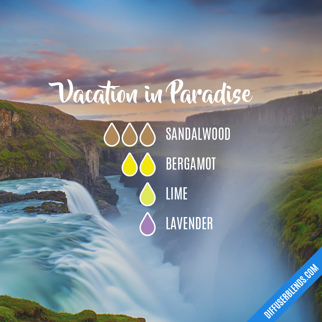 Vacation in Paradise | DiffuserBlends.com