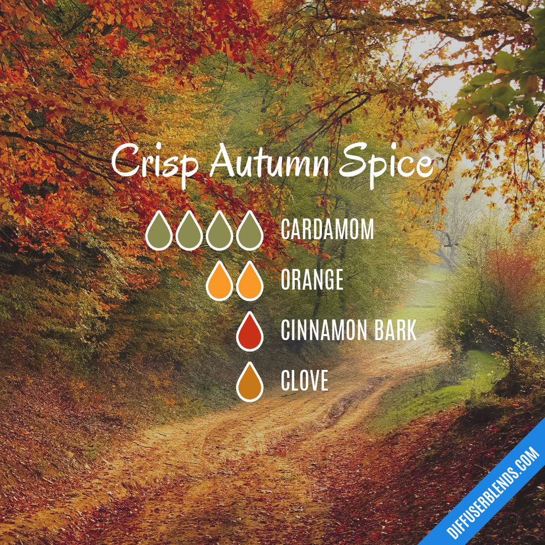 Crisp Autumn Spice | DiffuserBlends.com
