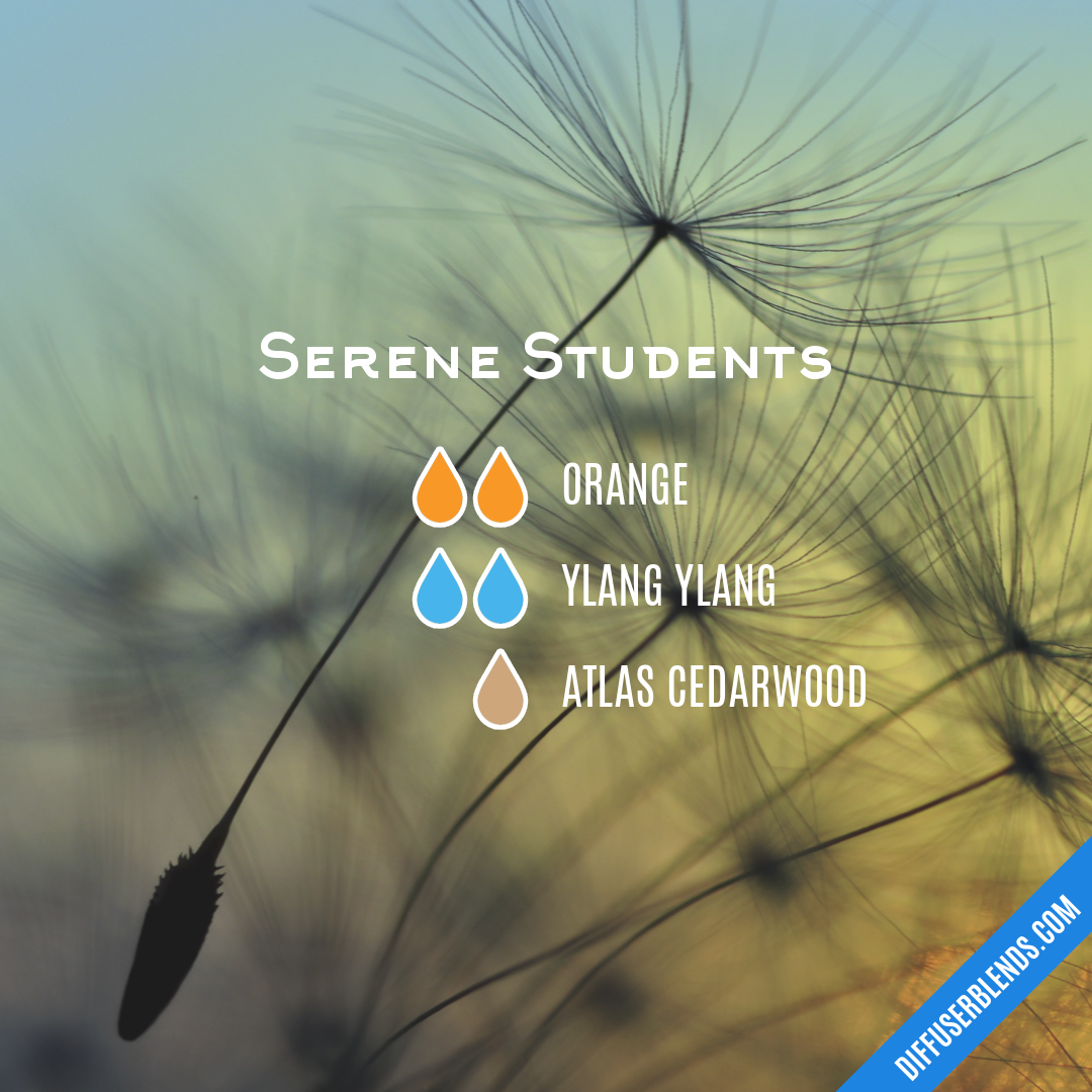 Serene Students | DiffuserBlends.com