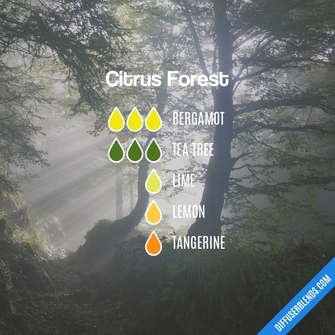 Citrus Forest | DiffuserBlends.com