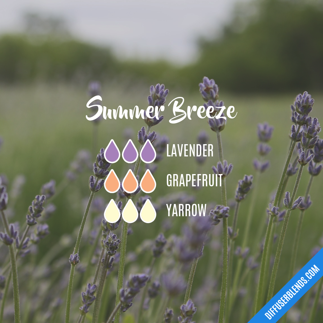 Summer Breeze | DiffuserBlends.com