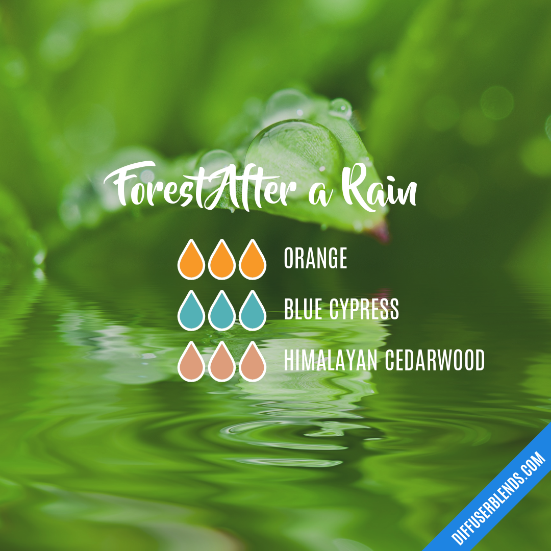 Forest After a Rain | DiffuserBlends.com