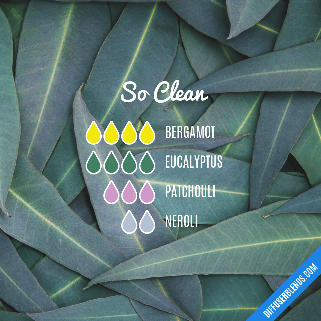 So Clean | DiffuserBlends.com