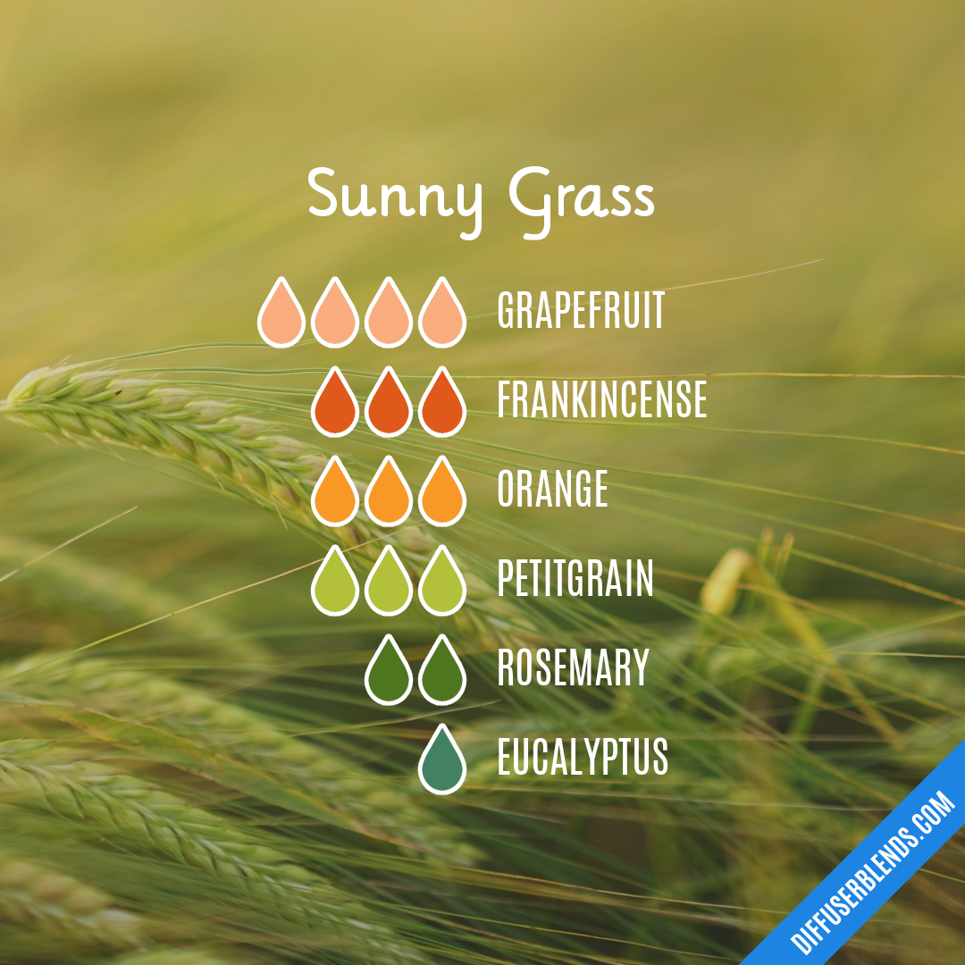 Sunny Grass | DiffuserBlends.com