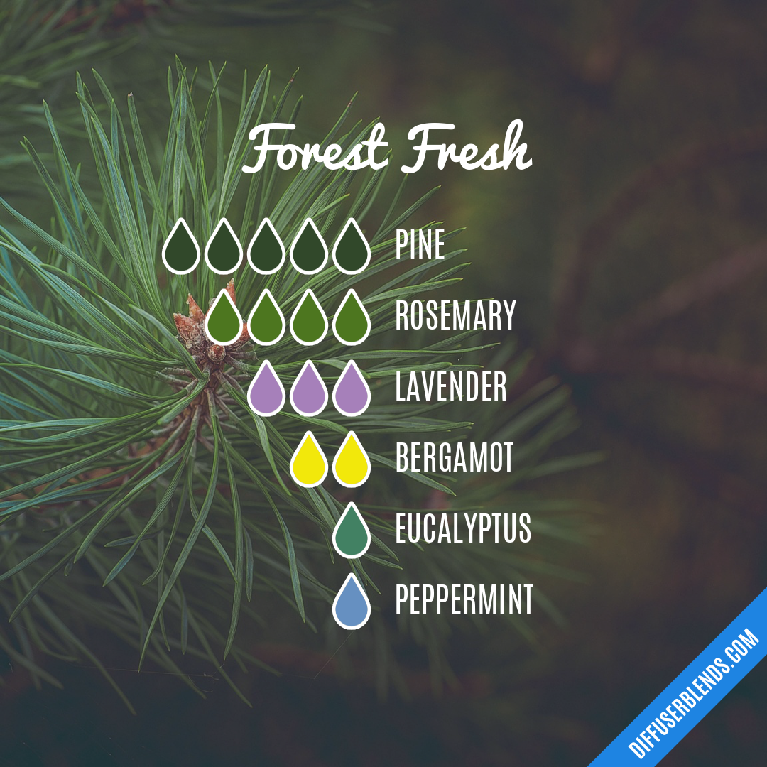 Forest Fresh | DiffuserBlends.com
