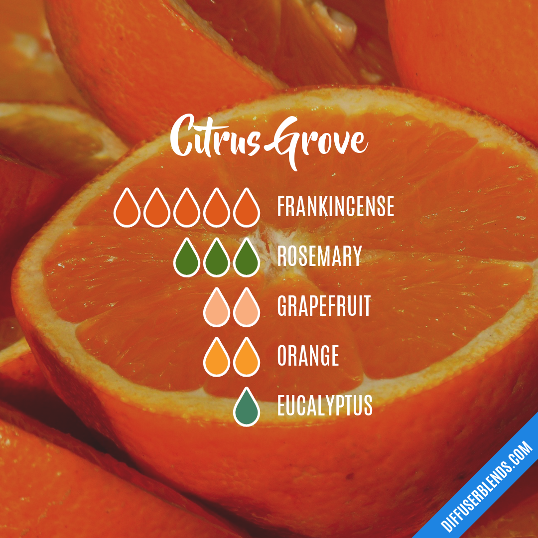 Citrus Grove | DiffuserBlends.com