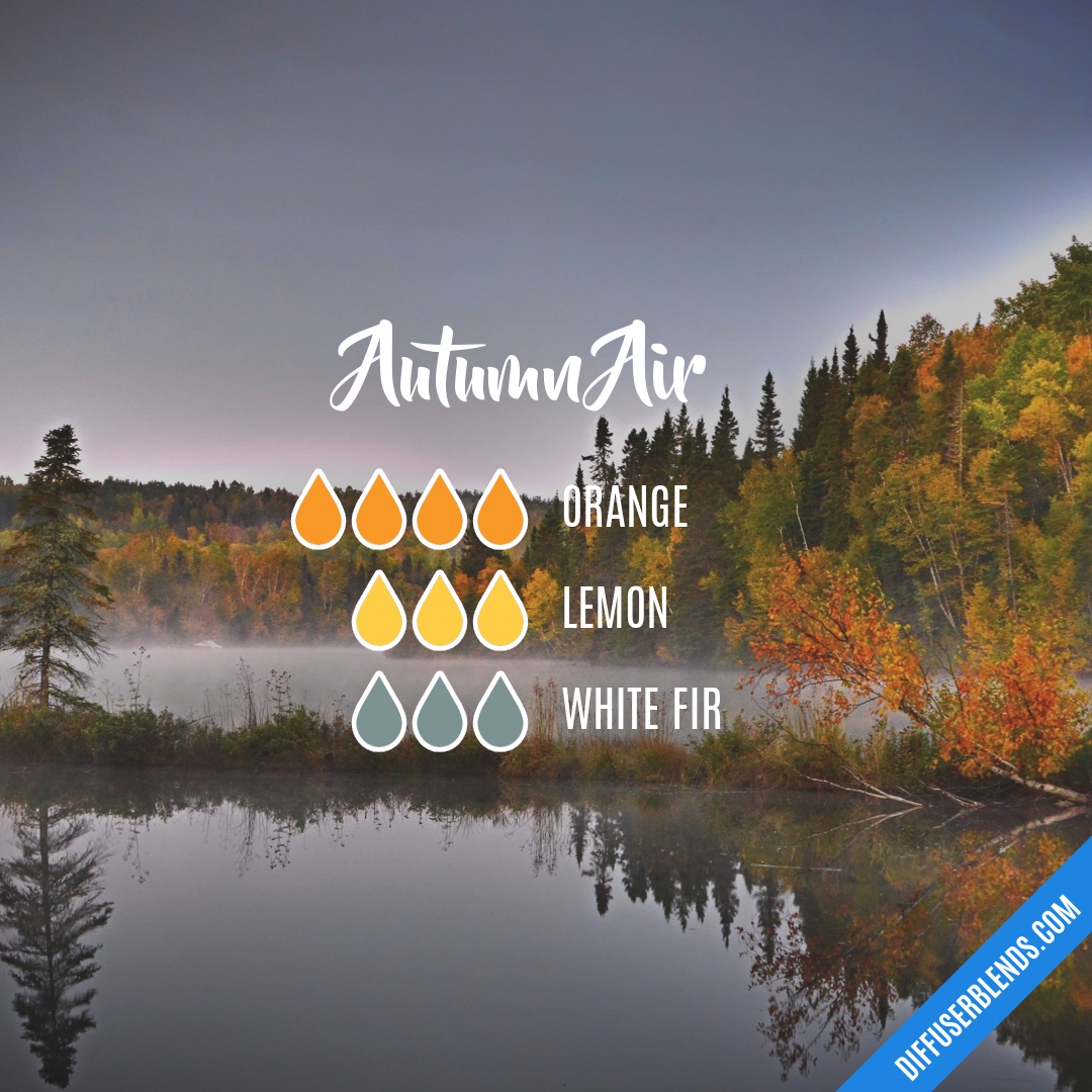 Autumn Air | DiffuserBlends.com