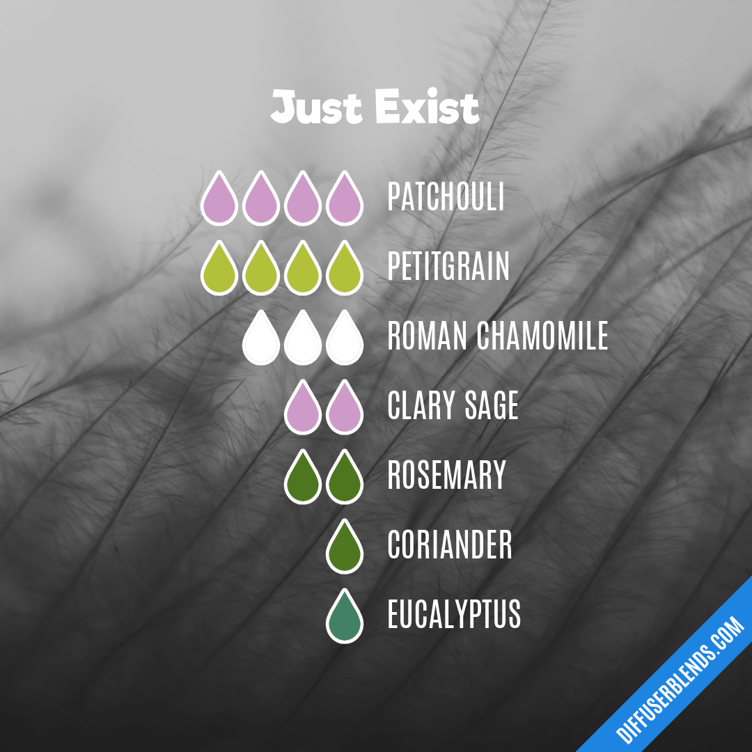 Just Exist | DiffuserBlends.com