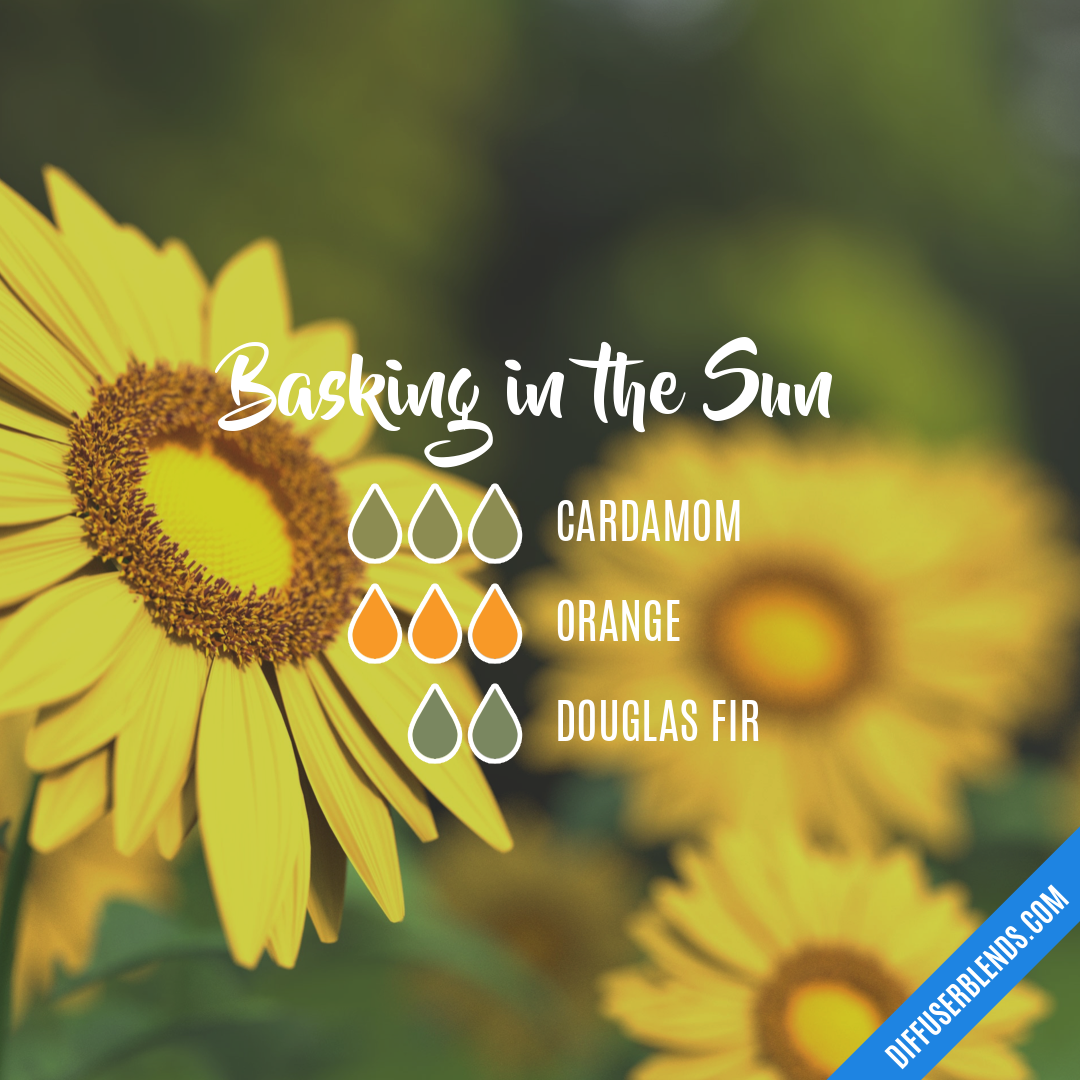 Basking in the Sun | DiffuserBlends.com