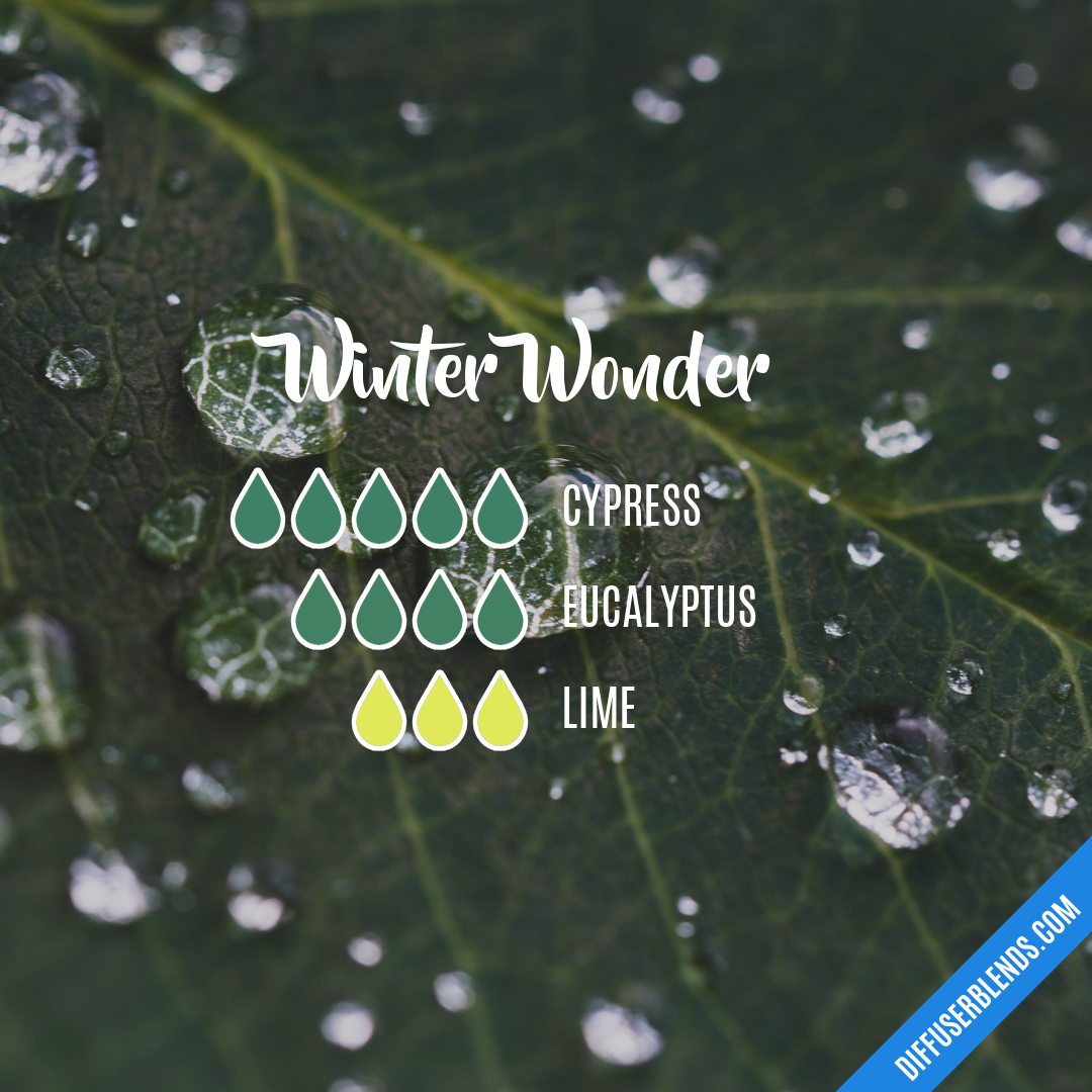 Winter Wonder | DiffuserBlends.com