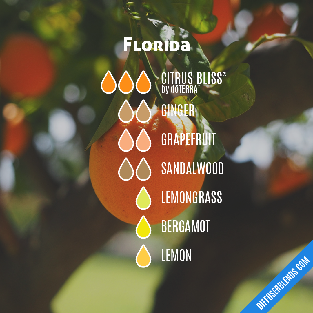 Florida | DiffuserBlends.com