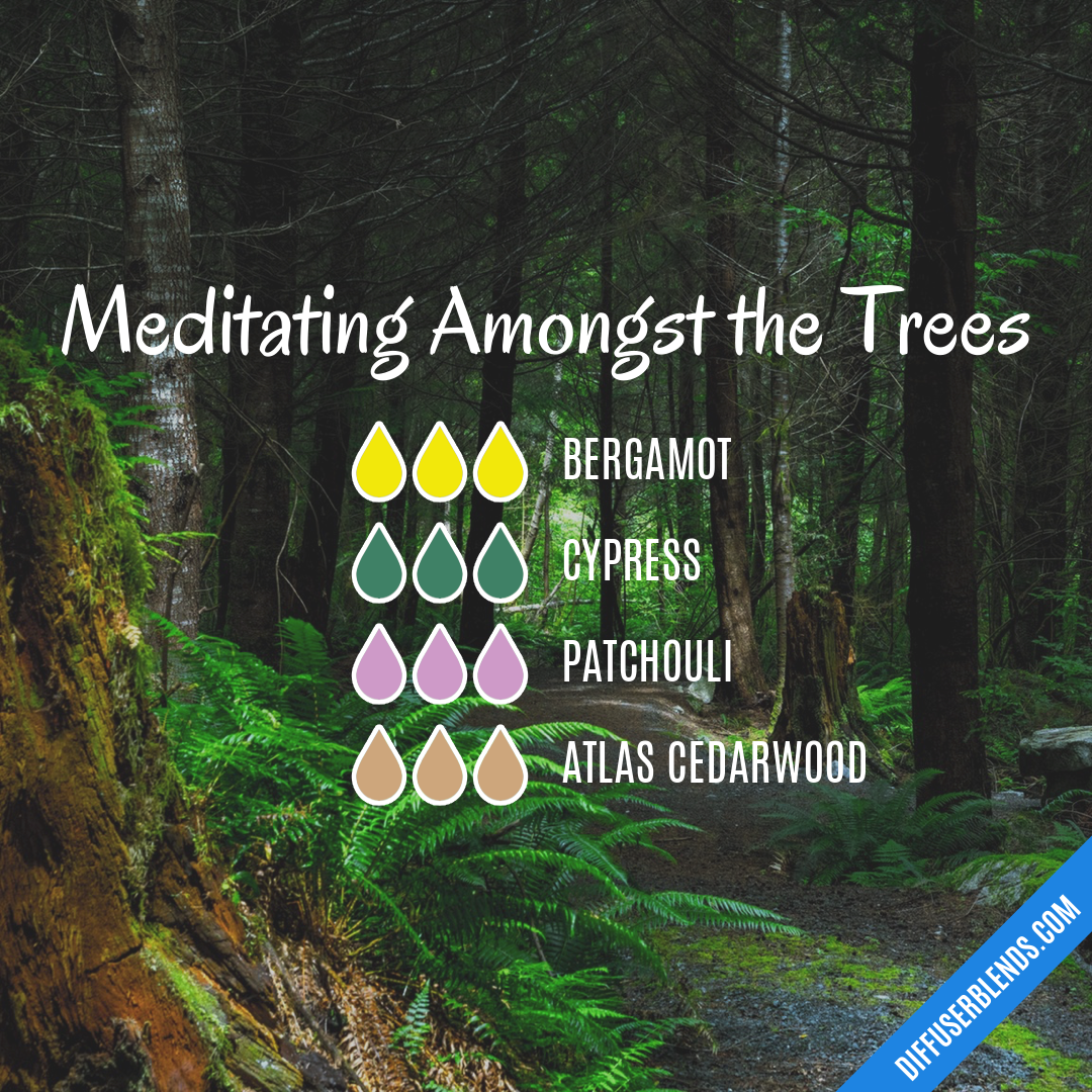 Meditating Amongst the Trees | DiffuserBlends.com