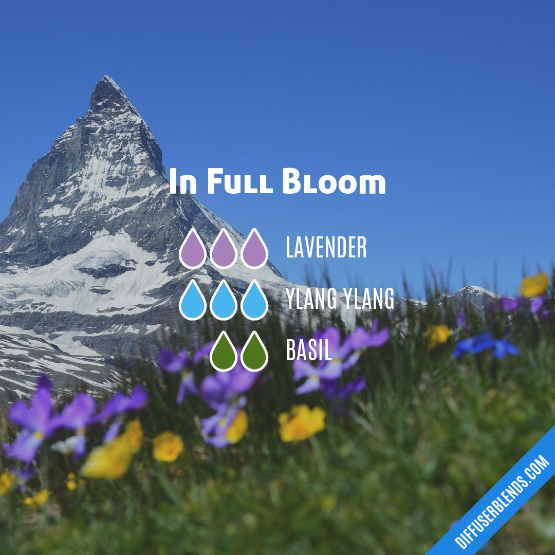 In Full Bloom | DiffuserBlends.com