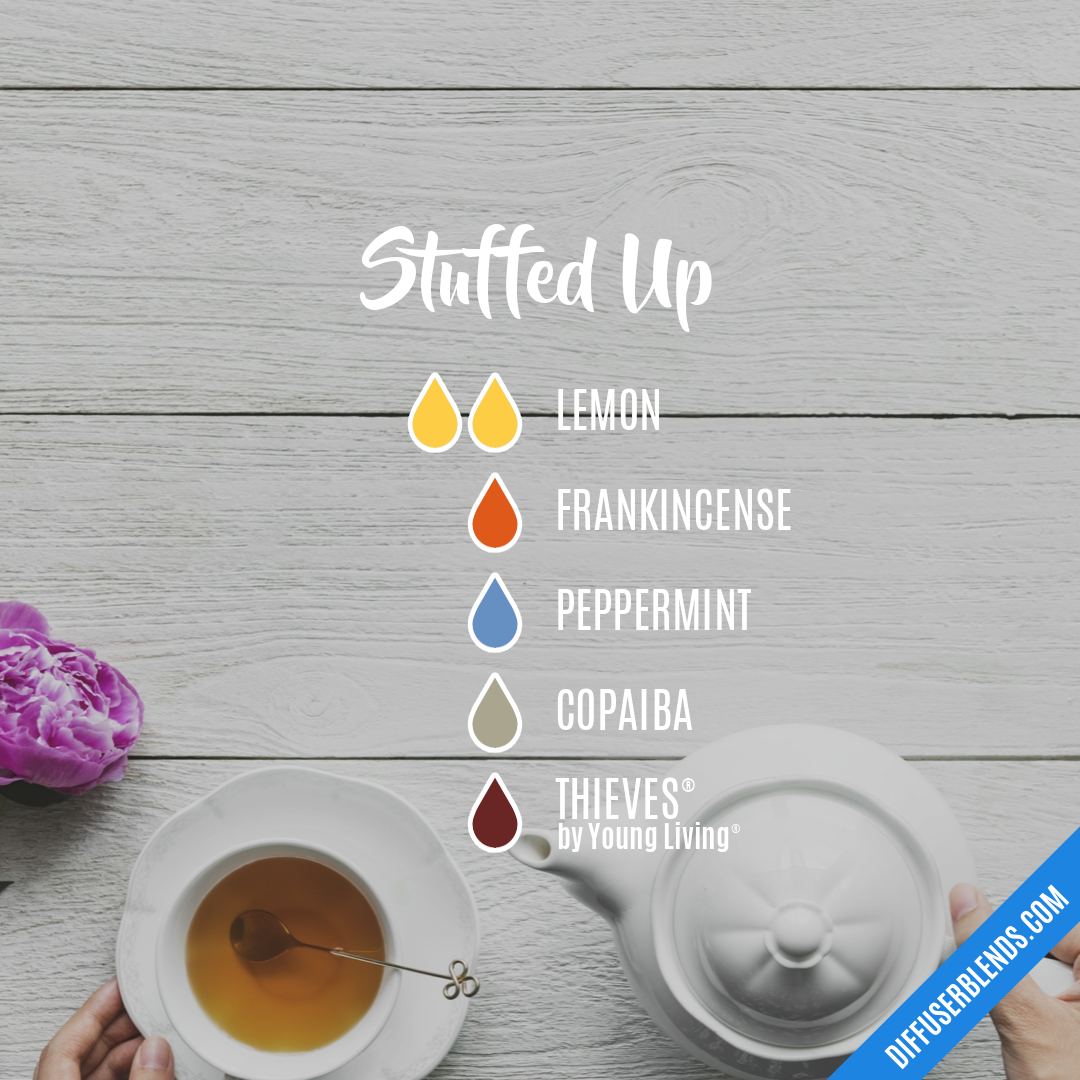Stuffed Up | DiffuserBlends.com