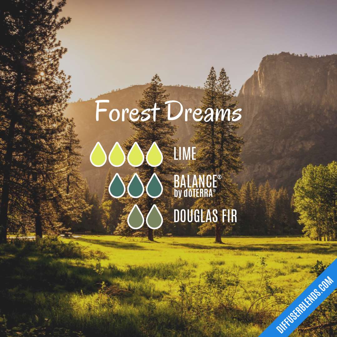 Forest Dreams | DiffuserBlends.com