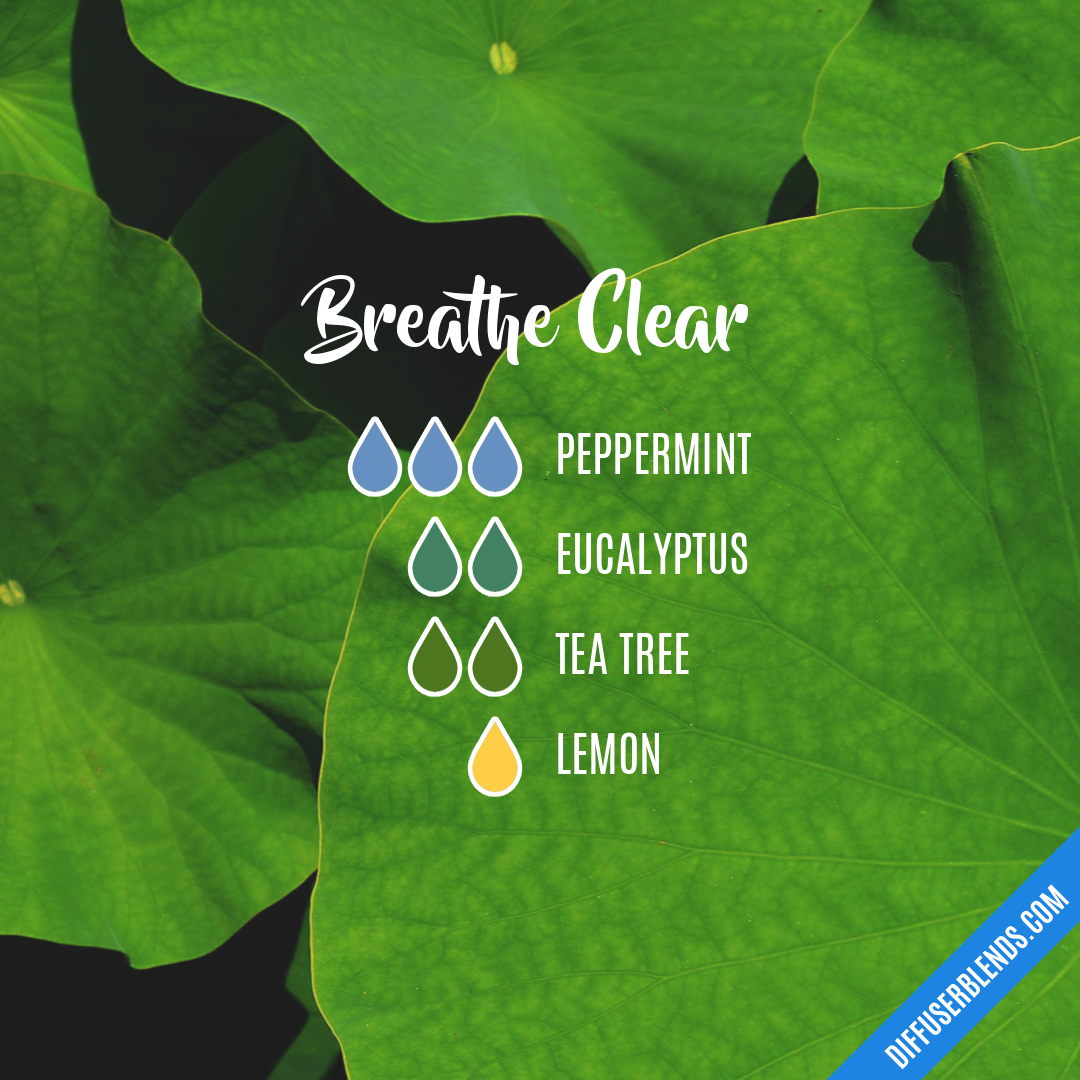 Breathe Clear | DiffuserBlends.com