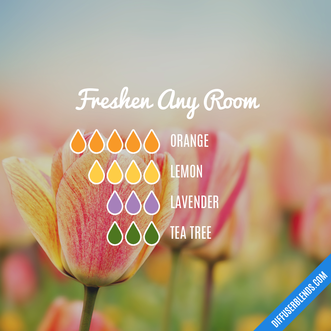 Freshen Any Room | DiffuserBlends.com