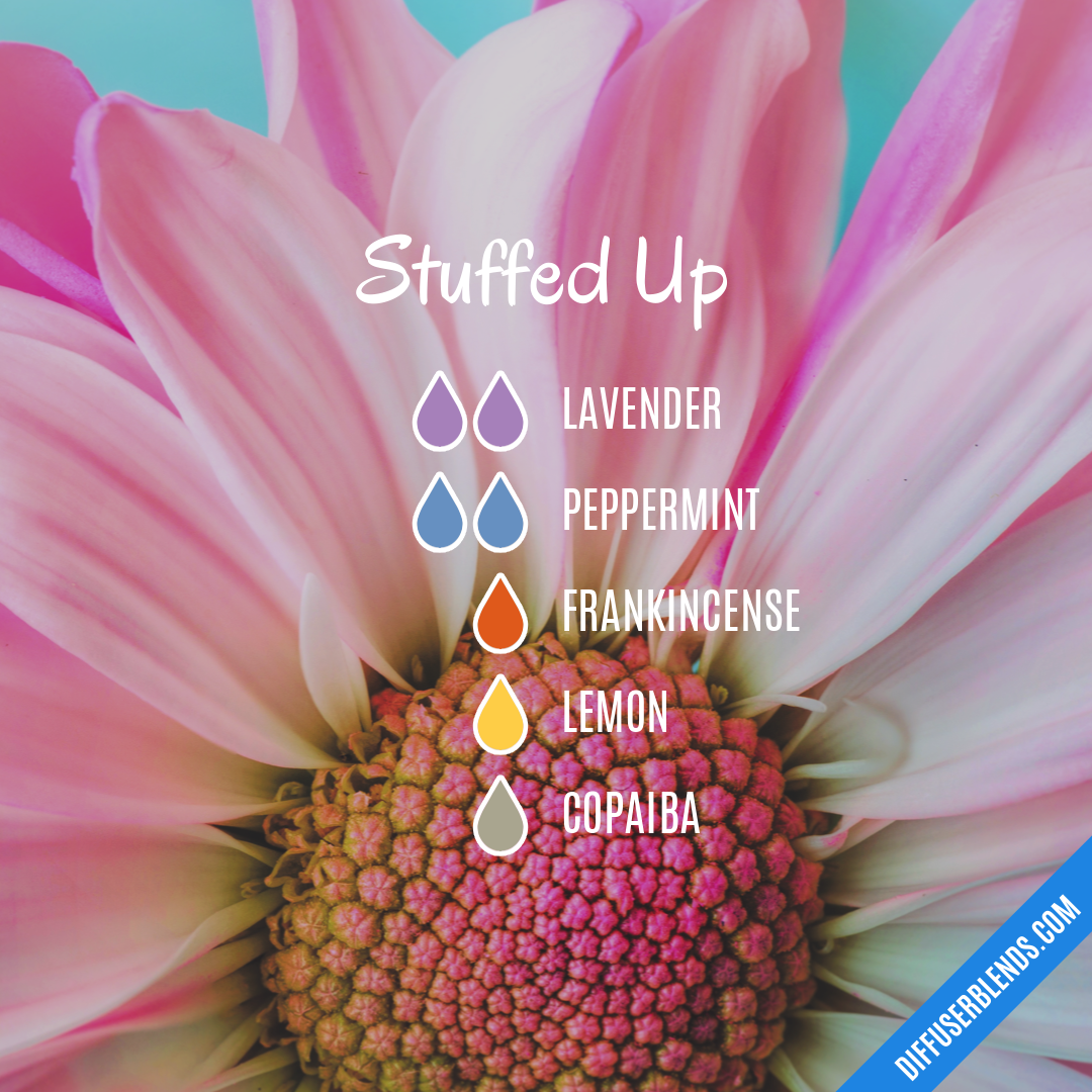 Stuffed Up | DiffuserBlends.com