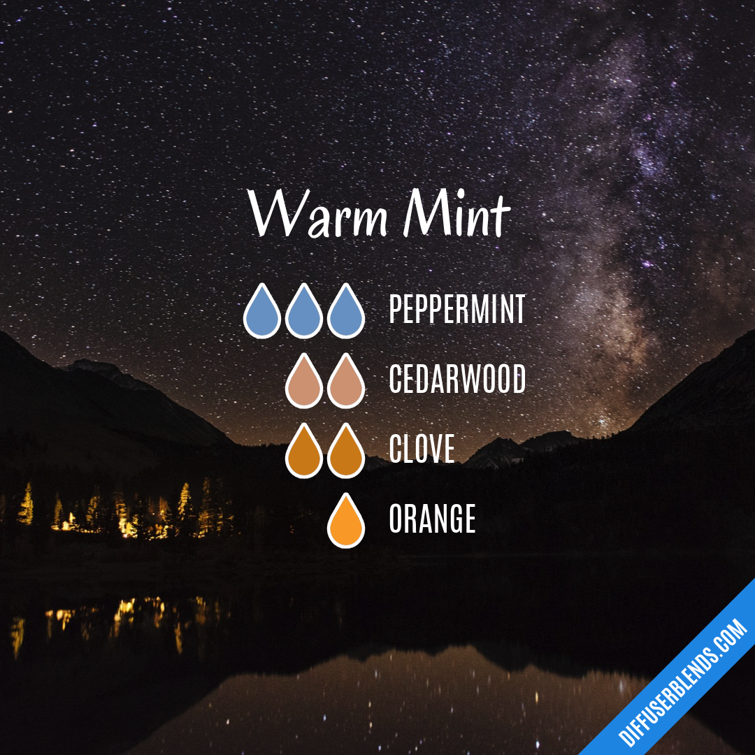 Warm Mint | DiffuserBlends.com
