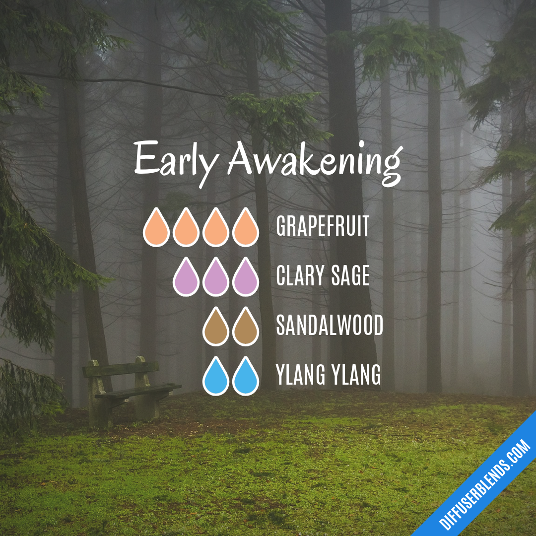 Early Awakening | DiffuserBlends.com