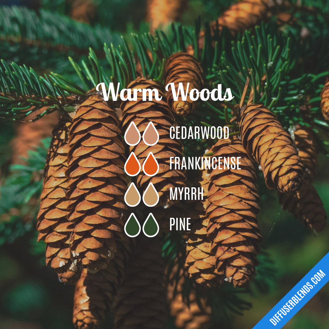 Warm Woods | DiffuserBlends.com