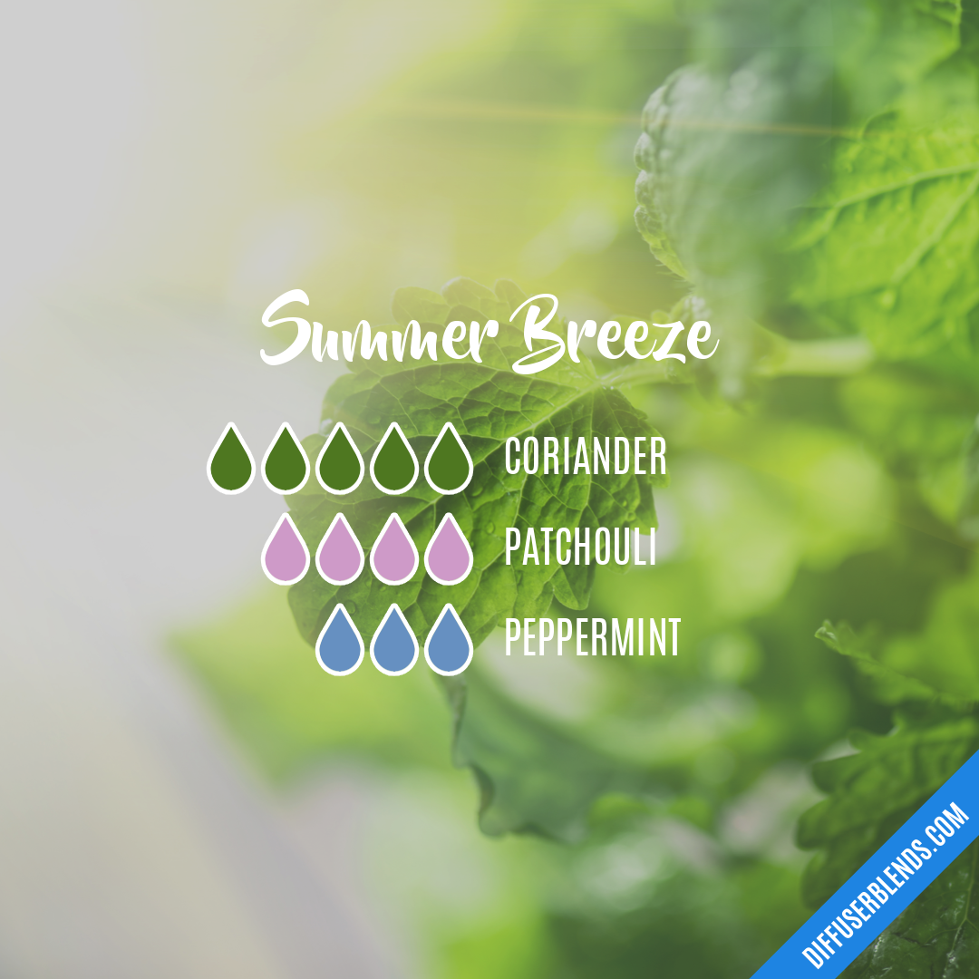 Summer Wind | DiffuserBlends.com