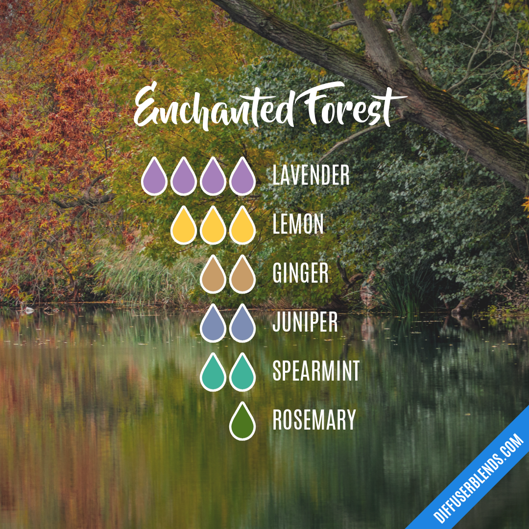 Enchanted Forest | DiffuserBlends.com