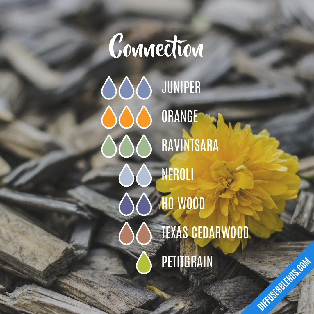 Connection | DiffuserBlends.com