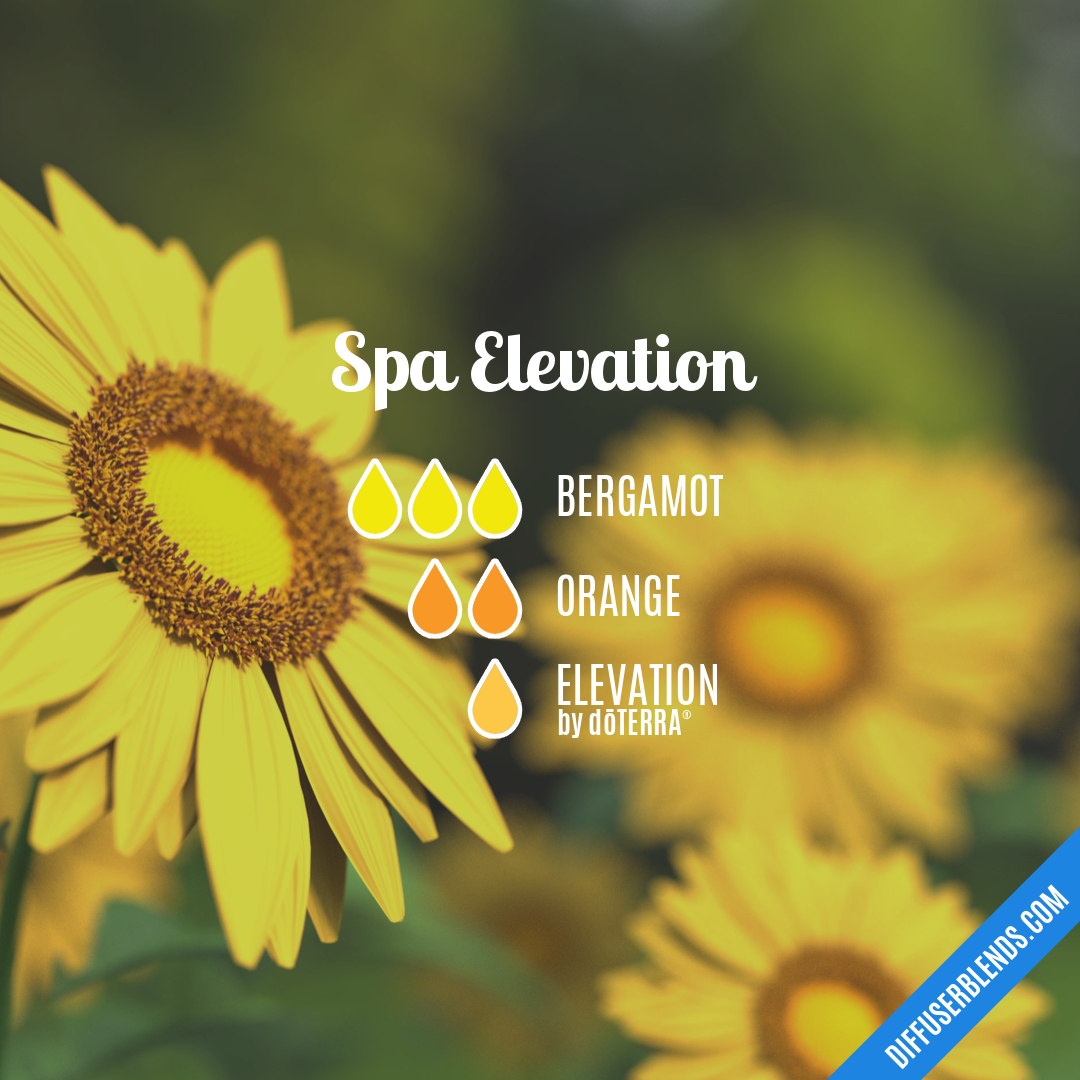 Spa Elevation | DiffuserBlends.com