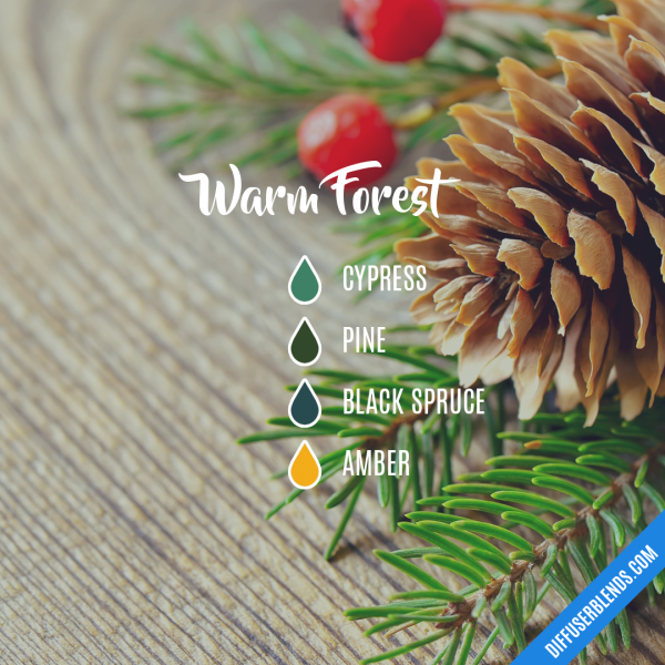 Warm Forest | DiffuserBlends.com