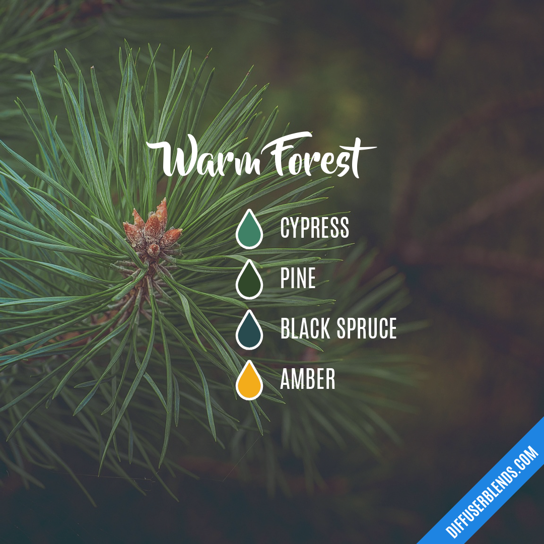 Warm Forest | DiffuserBlends.com