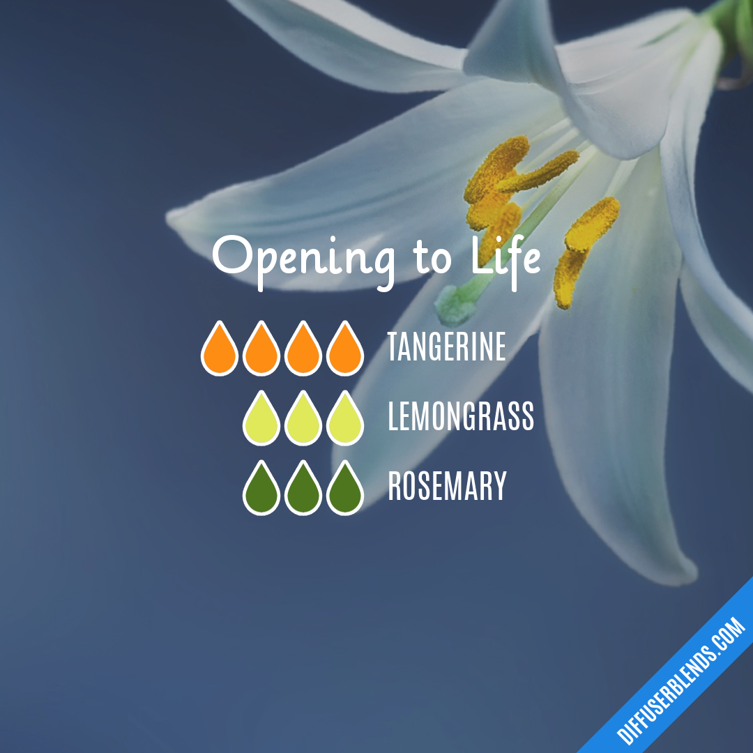 Opening to Life | DiffuserBlends.com