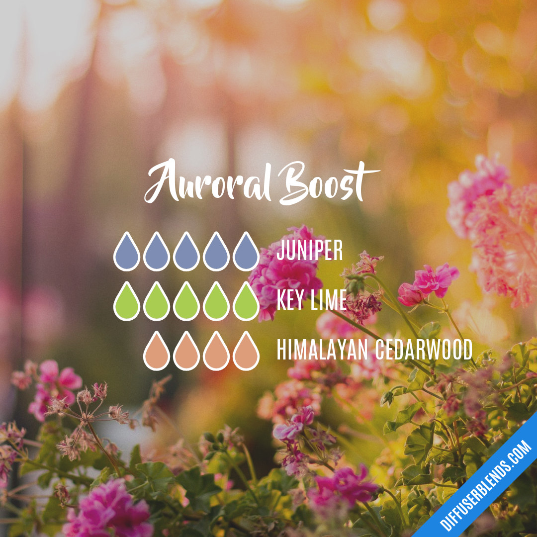 Auroral Boost | DiffuserBlends.com