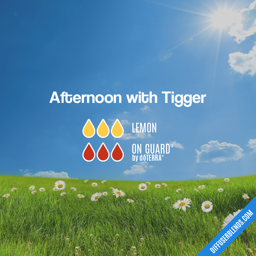 Afternoon with Tigger | DiffuserBlends.com