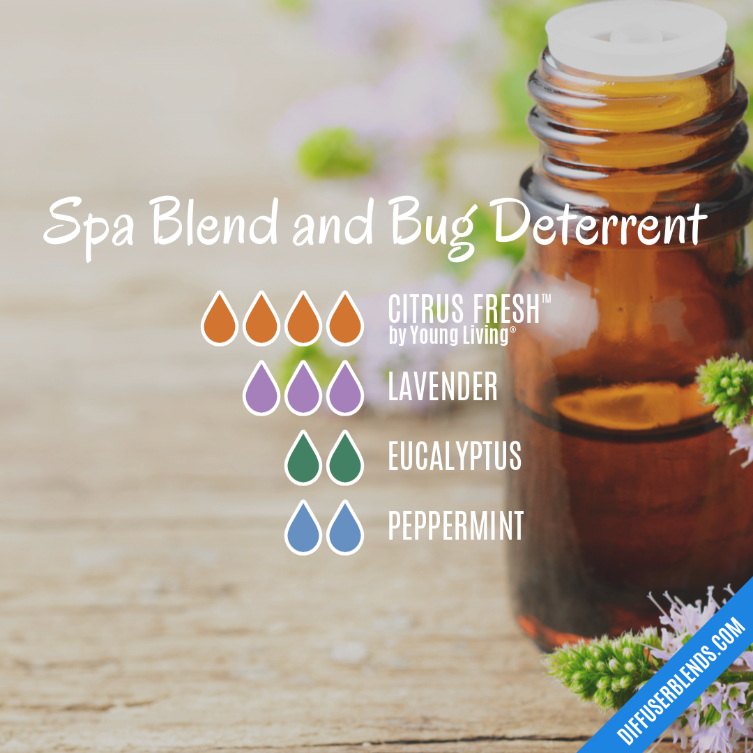 Spa Blend and Bug Deterrent | DiffuserBlends.com
