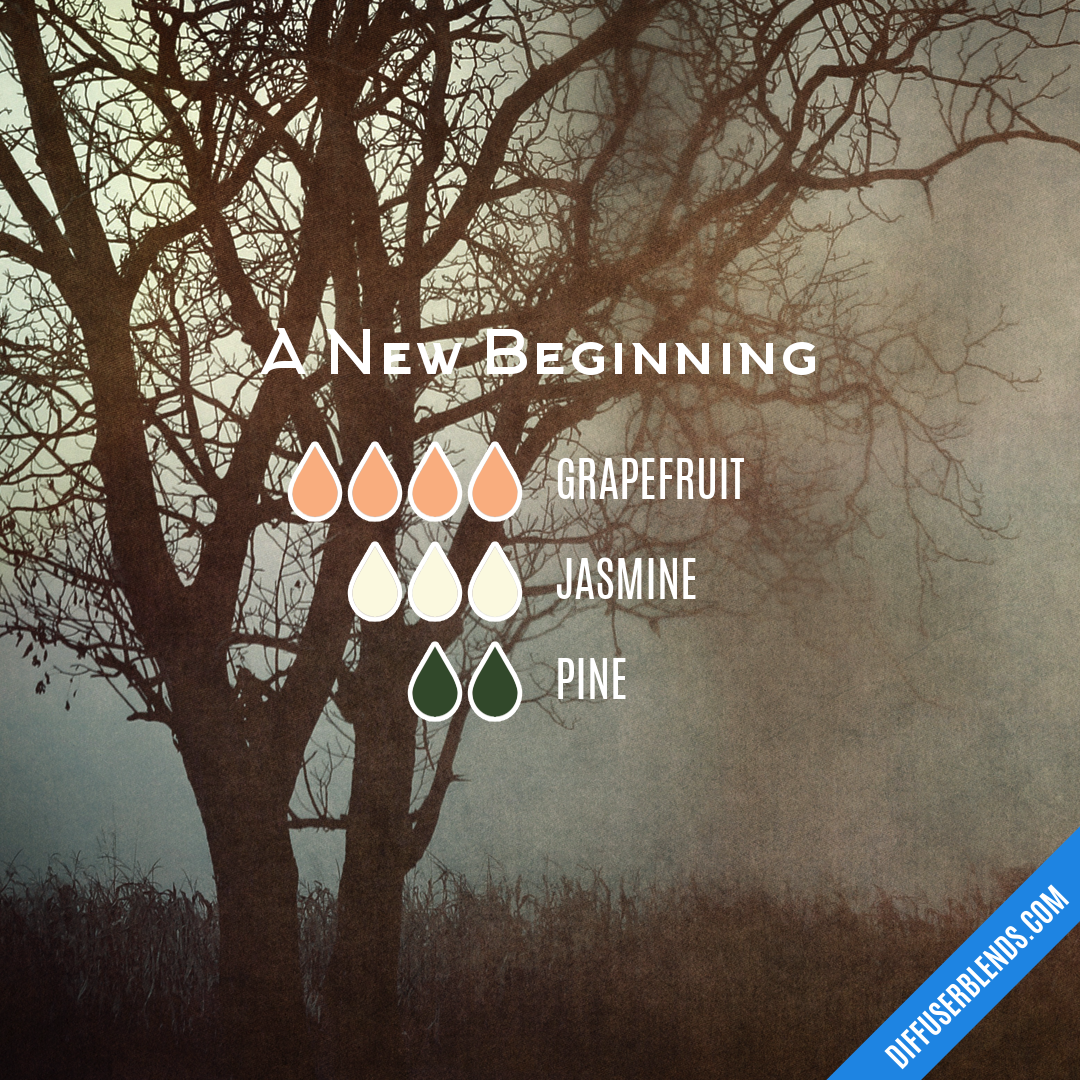 A New Beginning | DiffuserBlends.com
