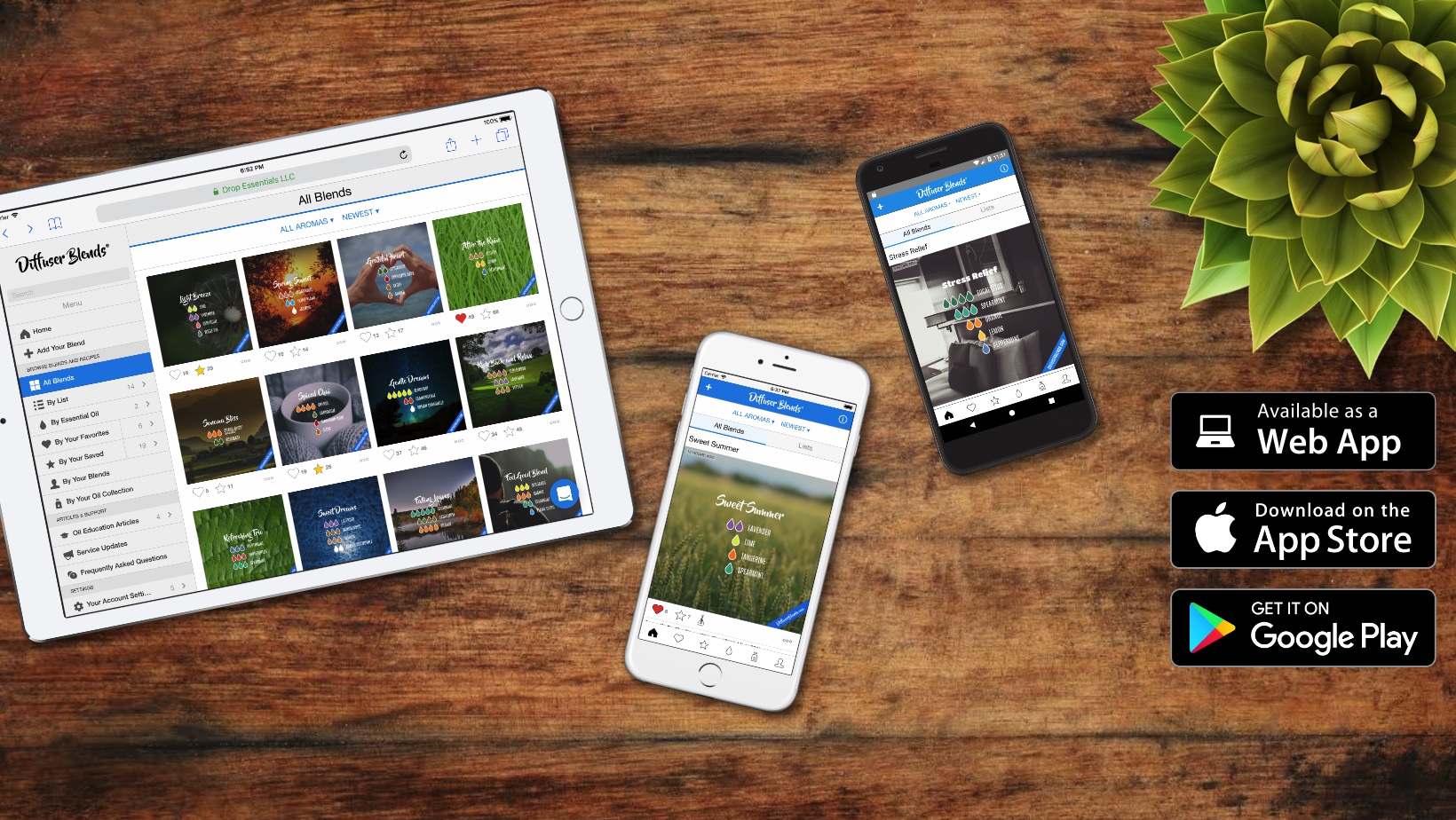 Essential Oil Diffuser Blends Diffuserblends